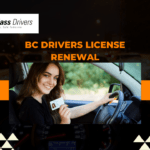 Newfoundland Driver’s License : Renewal & Process Guide 2025