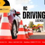 How to Renew Drivers Licence Ontario (2023)