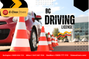 How to Get New Brunswick Driver’s License - A Complete Guide