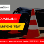 Newfoundland Driver’s License : Renewal & Process Guide 2025