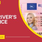 Get Your NL Driver's License: Step-by-Step Guide 2025