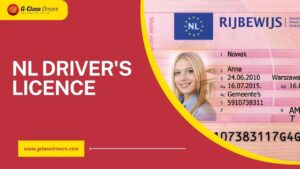 Step-by-Step Process to Obtain NL Drivers Licence in 2025