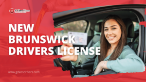 How to Get New Brunswick Driver’s License - A Complete Guide
