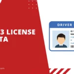 How Renewal Ontario License Plate > GClass Drivers