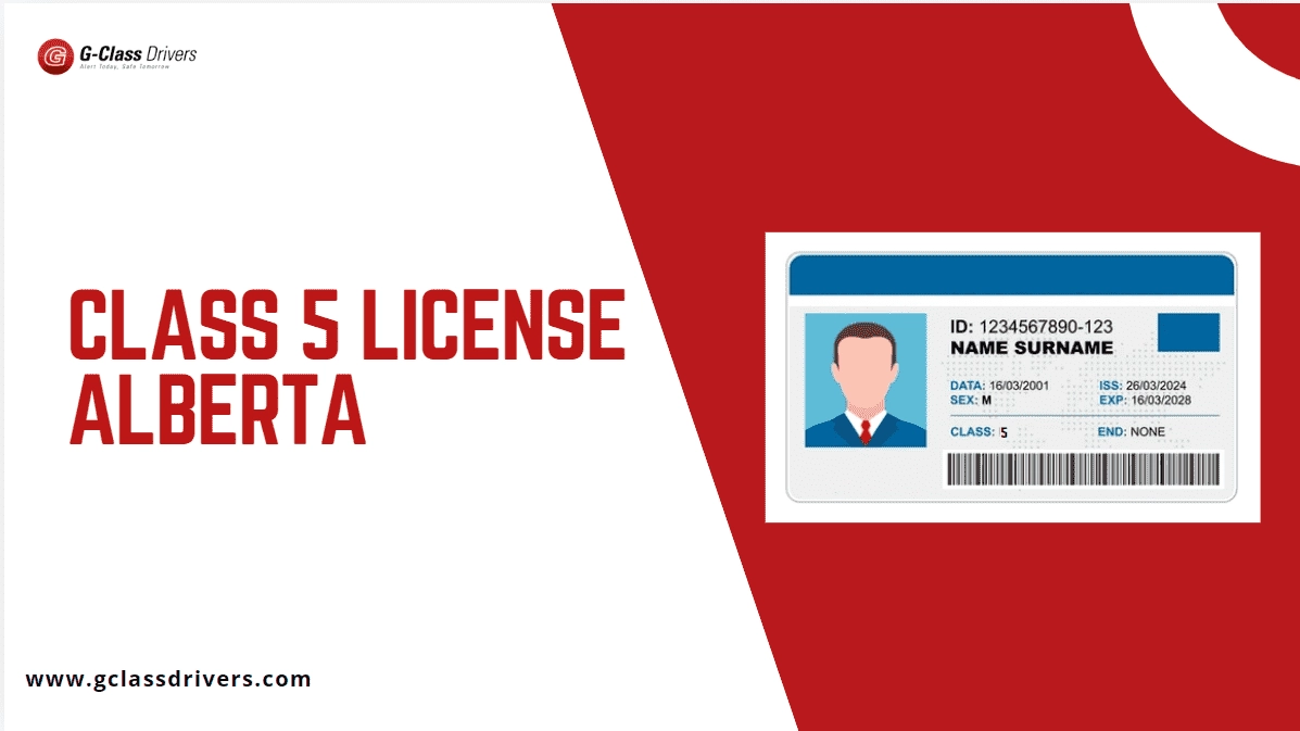 Class 5 License Alberta: Requirements, Tests, and Tips 2025